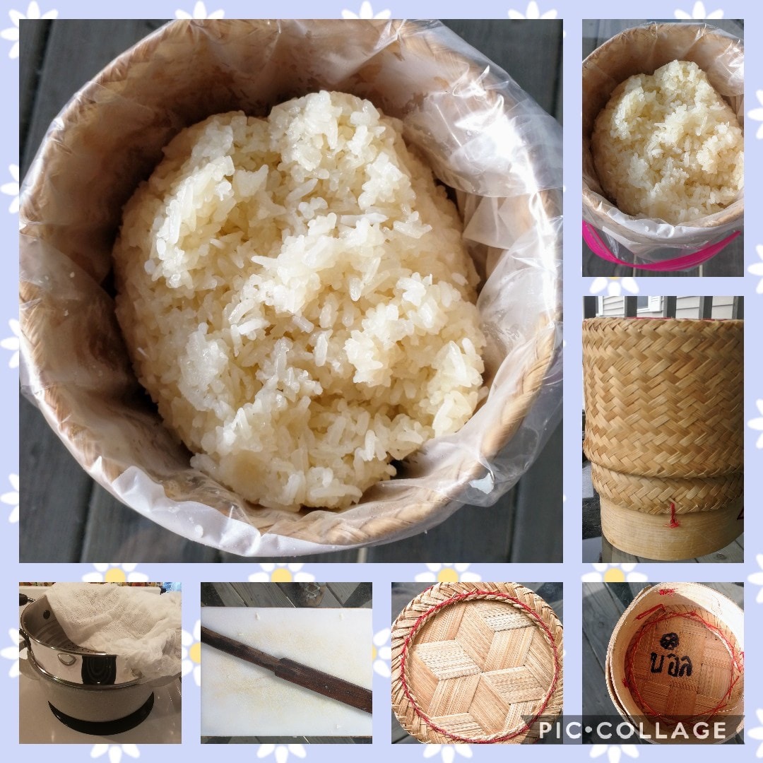 Thai Sticky Rice – Cilantro Roots – adventures in growing & creating ...