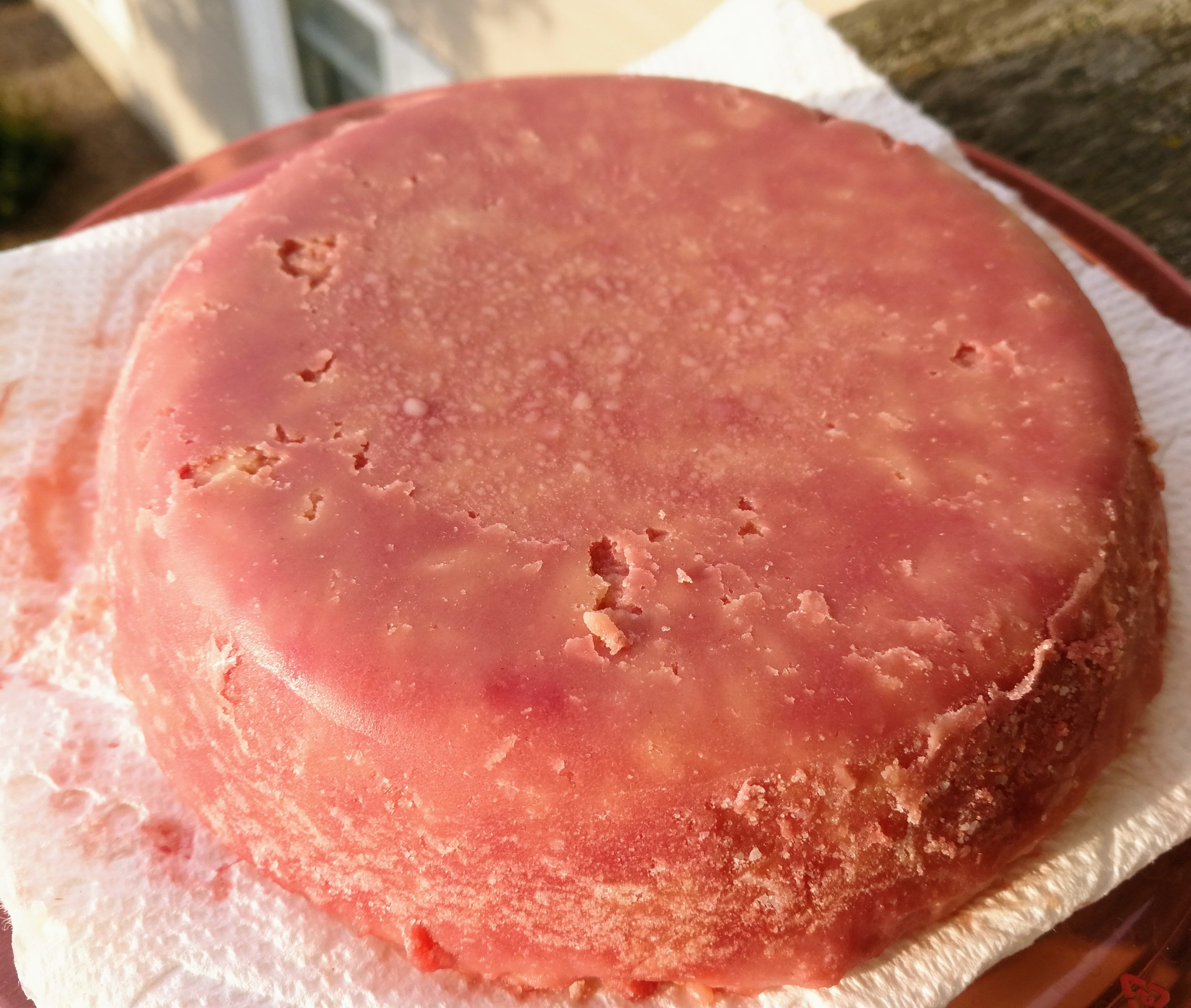 Wine & Cheese: An Old Friendship – Part 1 – Cilantro Roots – adventures ...